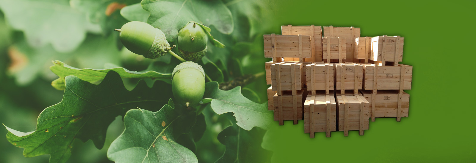 Wooden Packing Crates | Acorn Packaging
