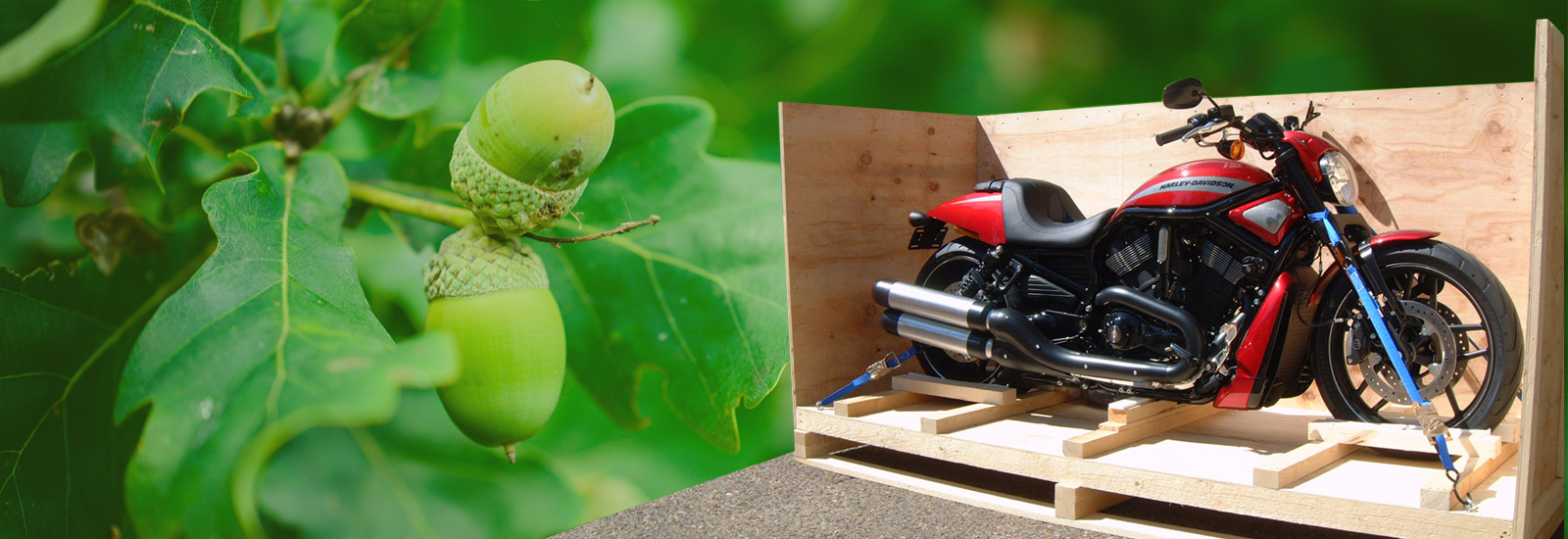 Wooden Packing Crates | Acorn Packaging